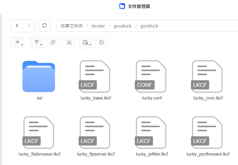 绿联Pro 安装lucky(DDNS及NPM的集合体) - 宏尘极客|笔记